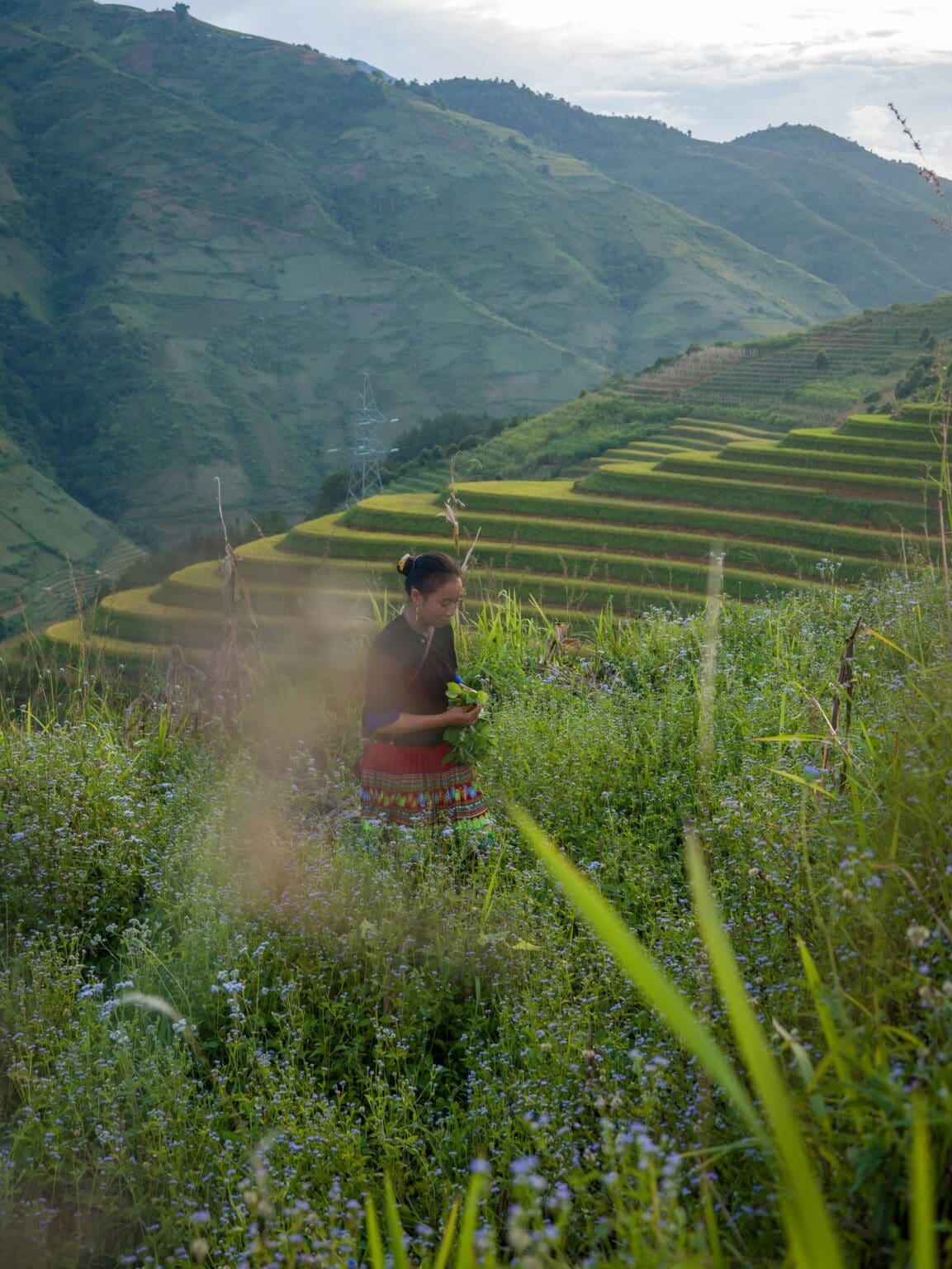 TVLLeaders: Vietnam & Cambodia, Culinary Travel